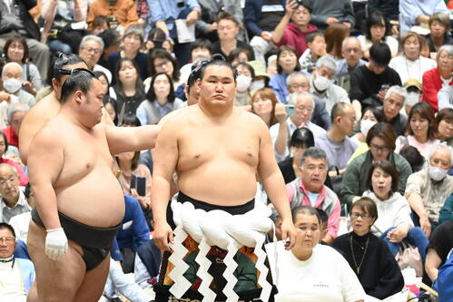 Sumo News | Sumostats