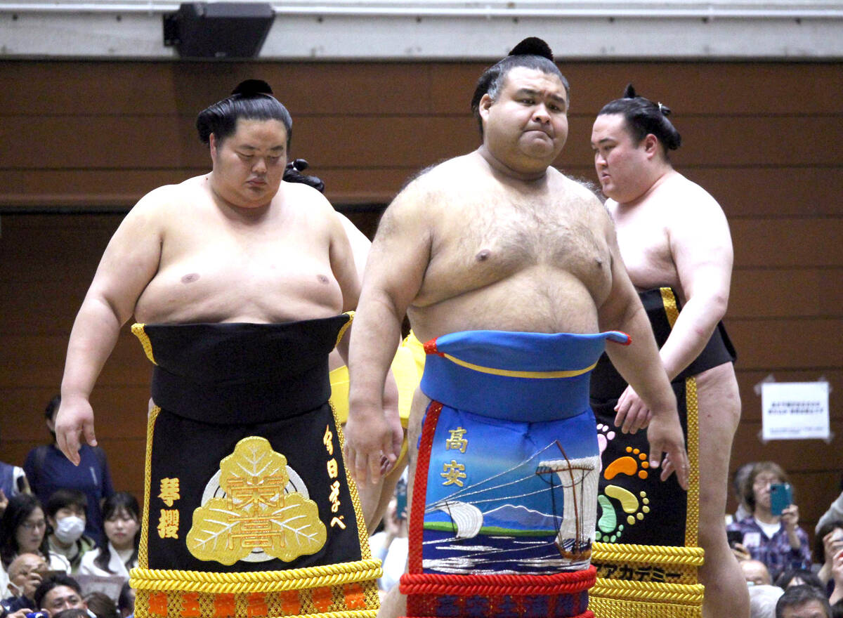Sumo News | Sumostats